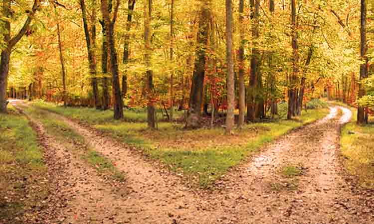 The Poetry of Robert Frost – The Road Not Taken – English with a Smile