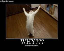 Giving Good Reasons – As, Because, Since, Seeing As, Seeing That ...