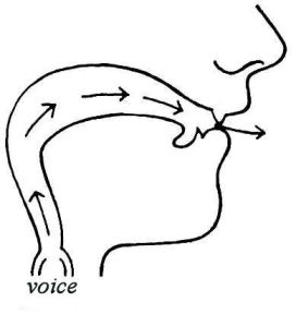 Correcting your Accent – Pronunciation of V – English with a Smile