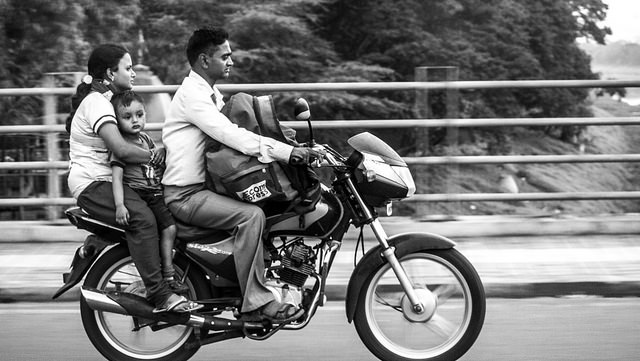 Learn a few words with Pater and Mater Vocabulary and Online Quiz ...