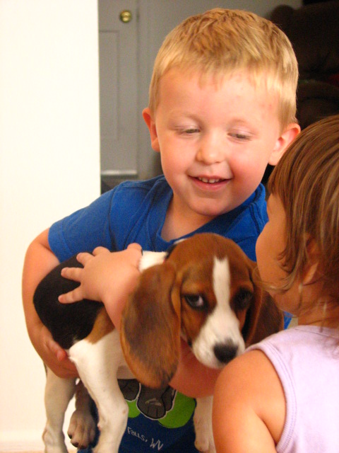 Word to the Wise: pip-squeak – English with a Smile