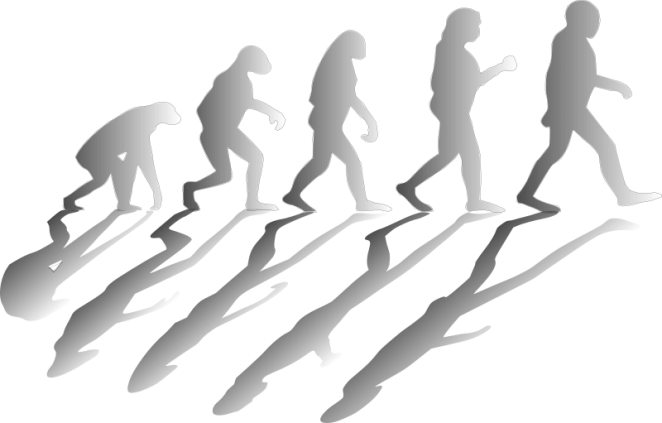 Word to the Wise: involve and evolve – English with a Smile