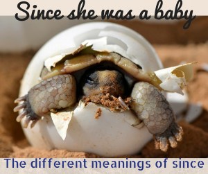 The Different Meanings of Since – English with a Smile