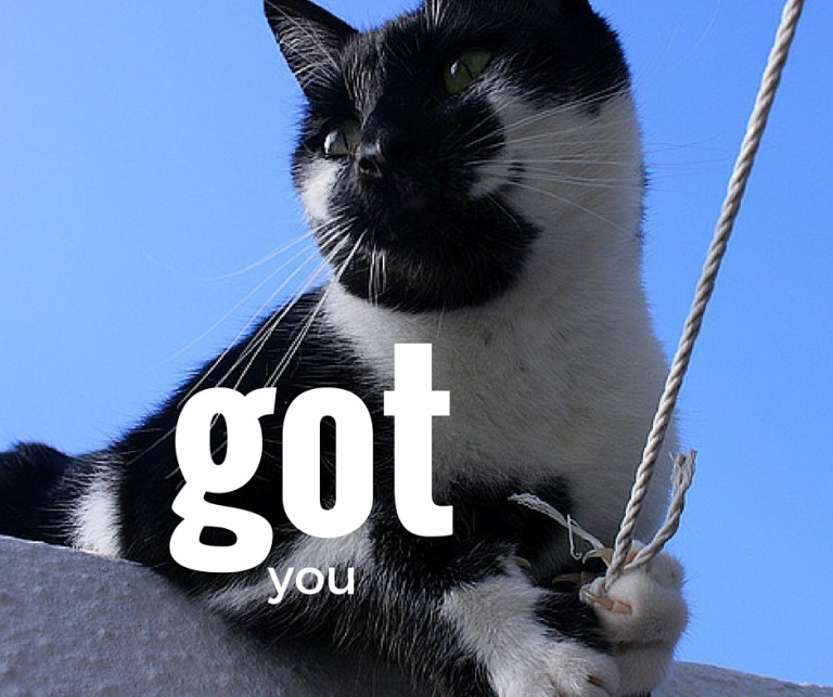 10 Idioms with Hold – English with a Smile