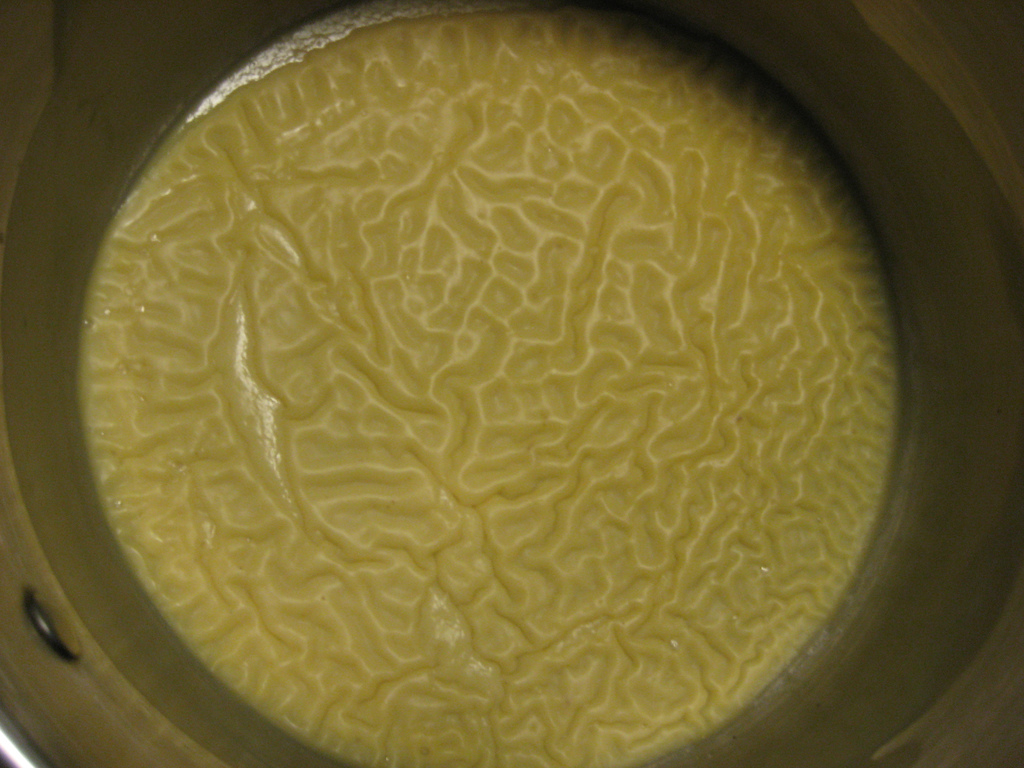 Word to the Wise: congeal – English with a Smile