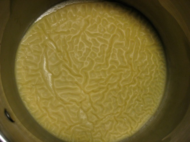 Word to the Wise: congeal – English with a Smile