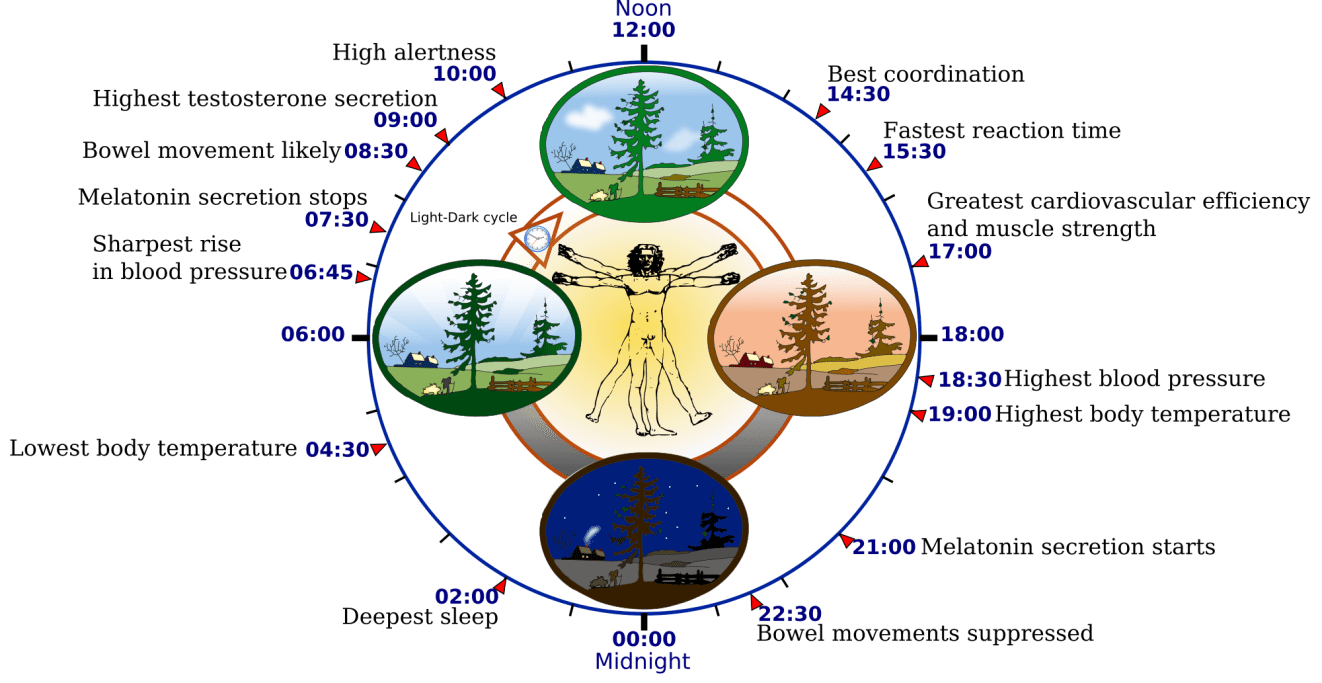 Vocab and Expressions about Days and Nights – English with a Smile